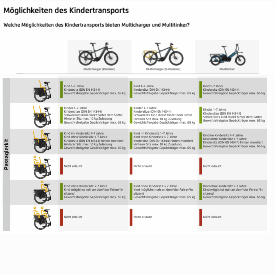 Riese & Müller passenger kit Multicharger / Multitinker – MORE Cargobike